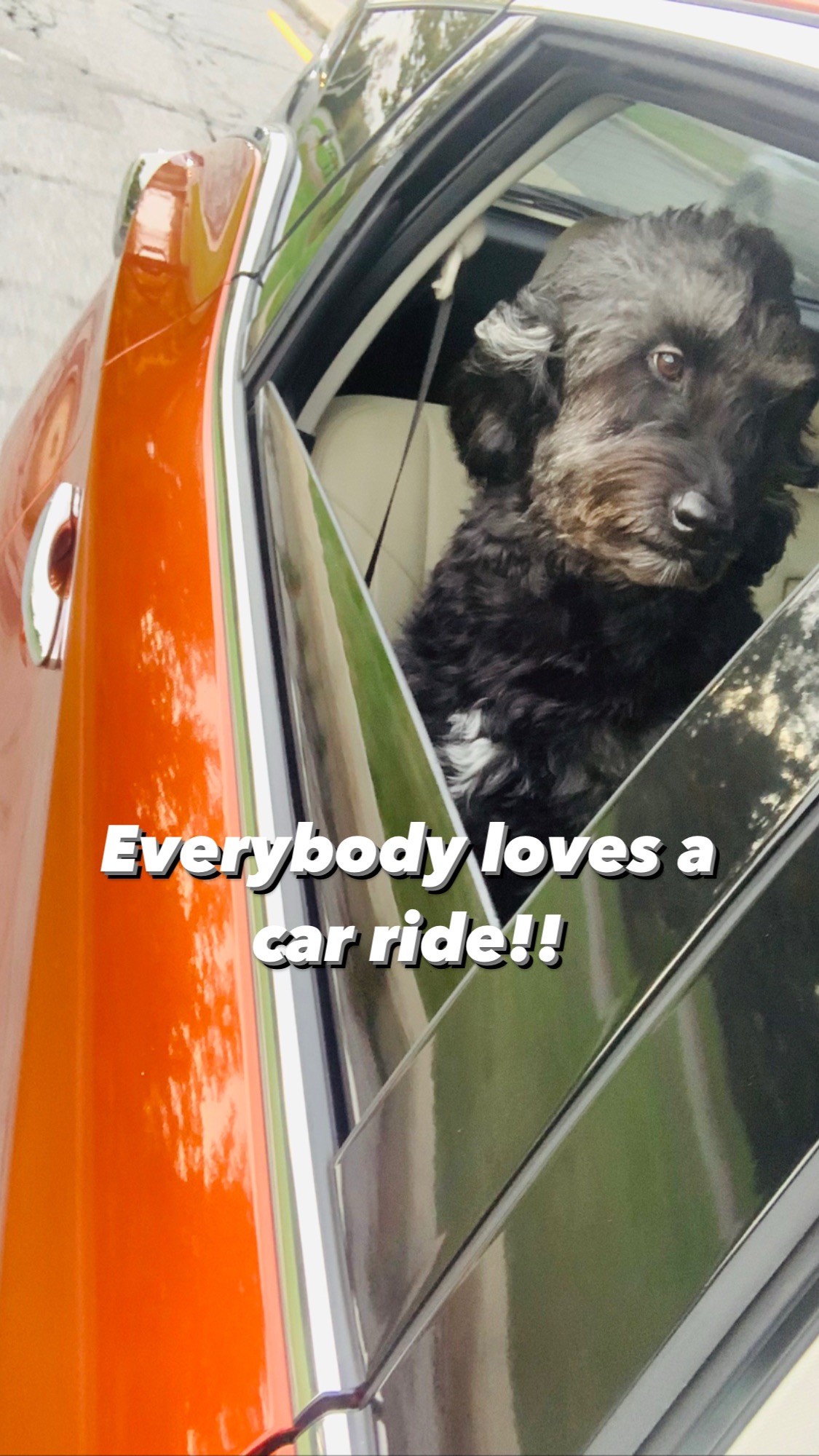 Bye Bye Caramel Cruiser, Hello EV! – Drop Of Golden Sun